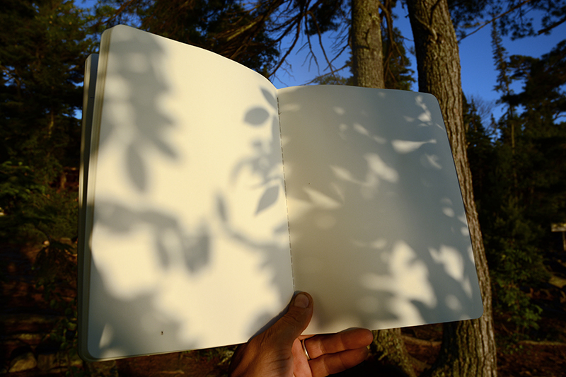 Perpetual Drawing | TSOEG