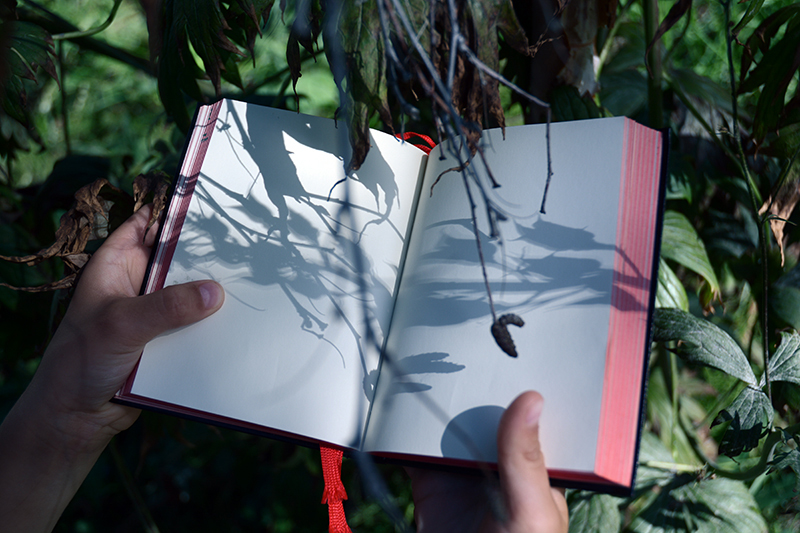 Perpetual Drawing | TSOEG