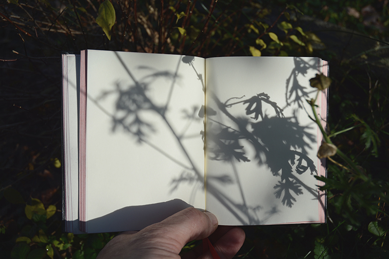 Perpetual Drawing | TSOEG