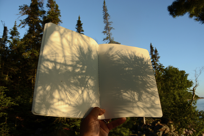 Perpetual Drawing | TSOEG