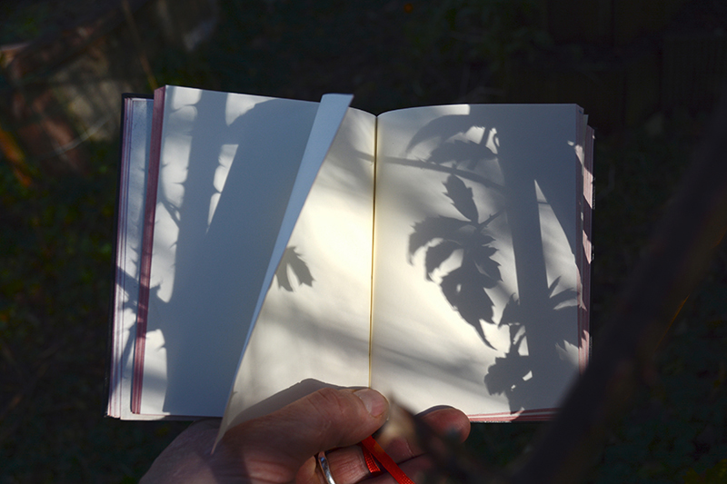 Perpetual Drawing | TSOEG