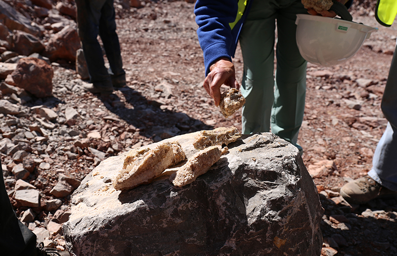 rocks are for throwing | TSOEG